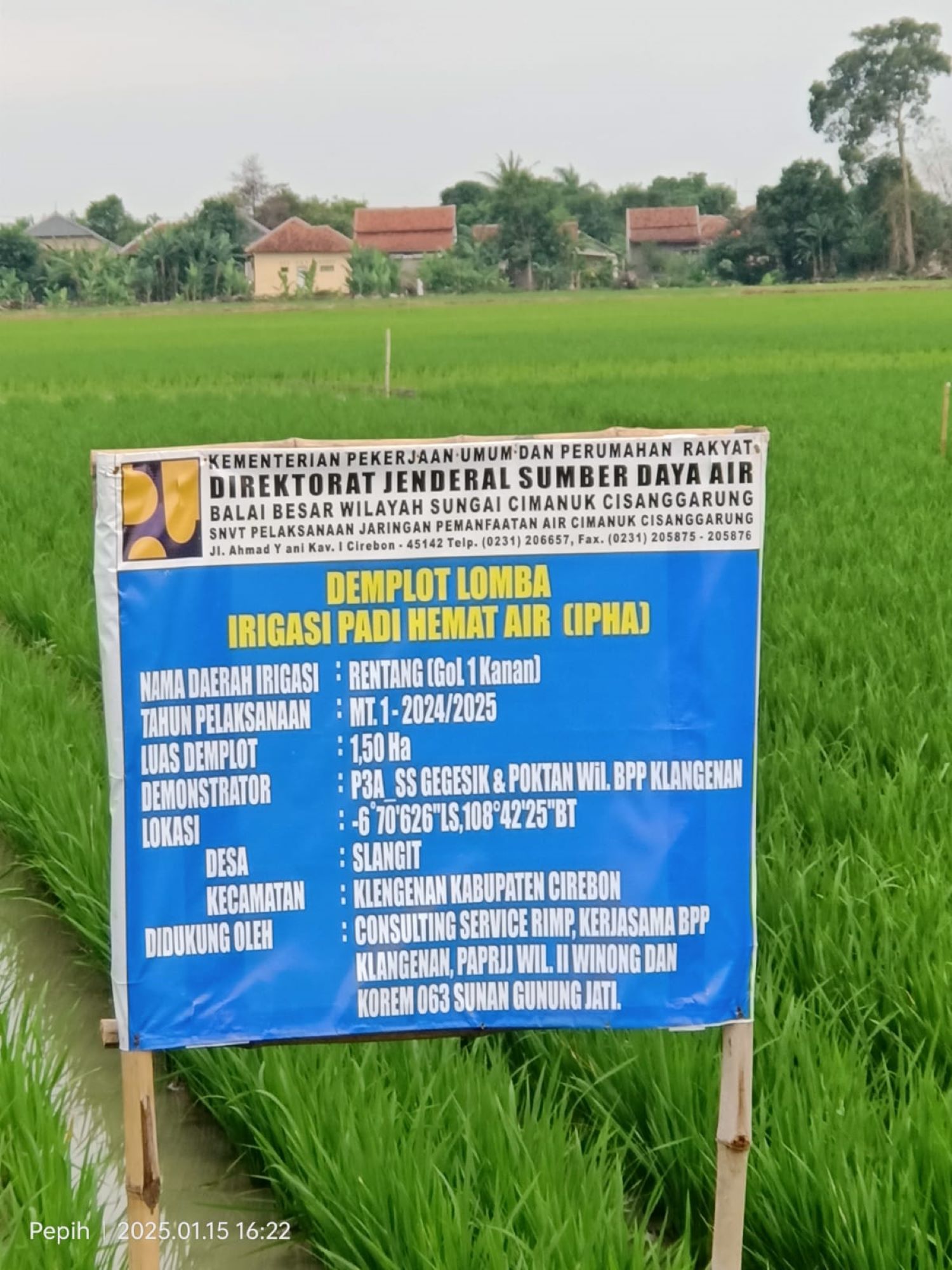 Inovasi Swasembada Pangan Dimulai dari Cirebon - Majalah Lintas